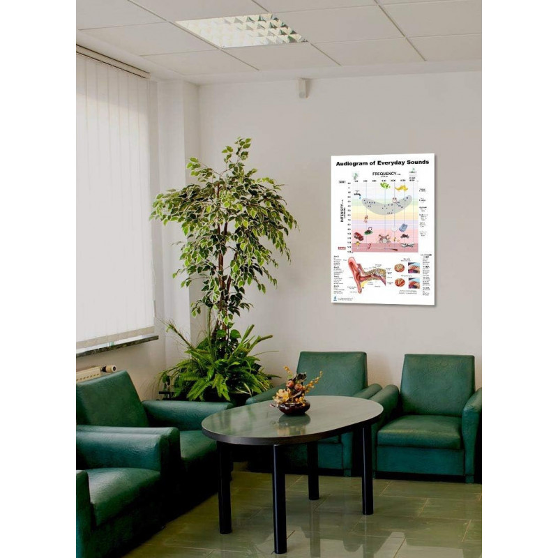 Audiogram of Everyday Sound Large Poster, Speech Banana, Frequency ...