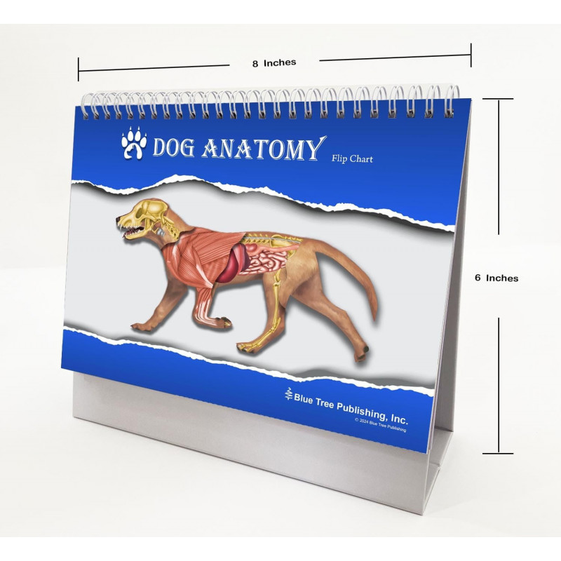 Dog Veterinary Anatomy Flip Charts, Anatomy & Veterinary Physiology Canine