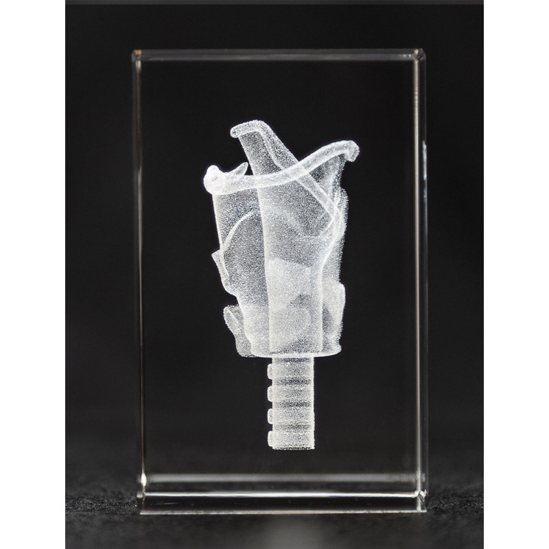 Larynx 3D Laser Medium Crystal, Anatomy, Voice Box, Singing, Adam's Apple
