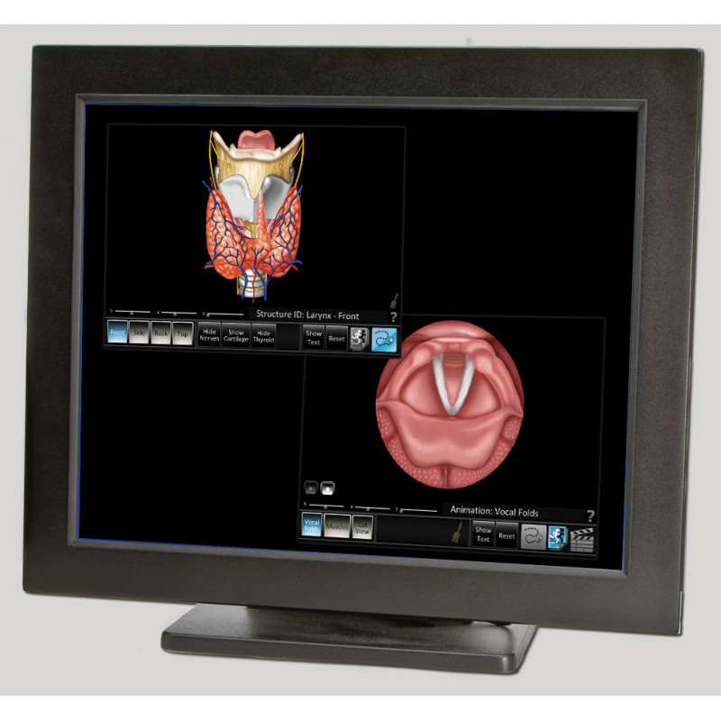 Vocal Parts Anatomical Chart with Software Larynx ID and Vocal Folds ID