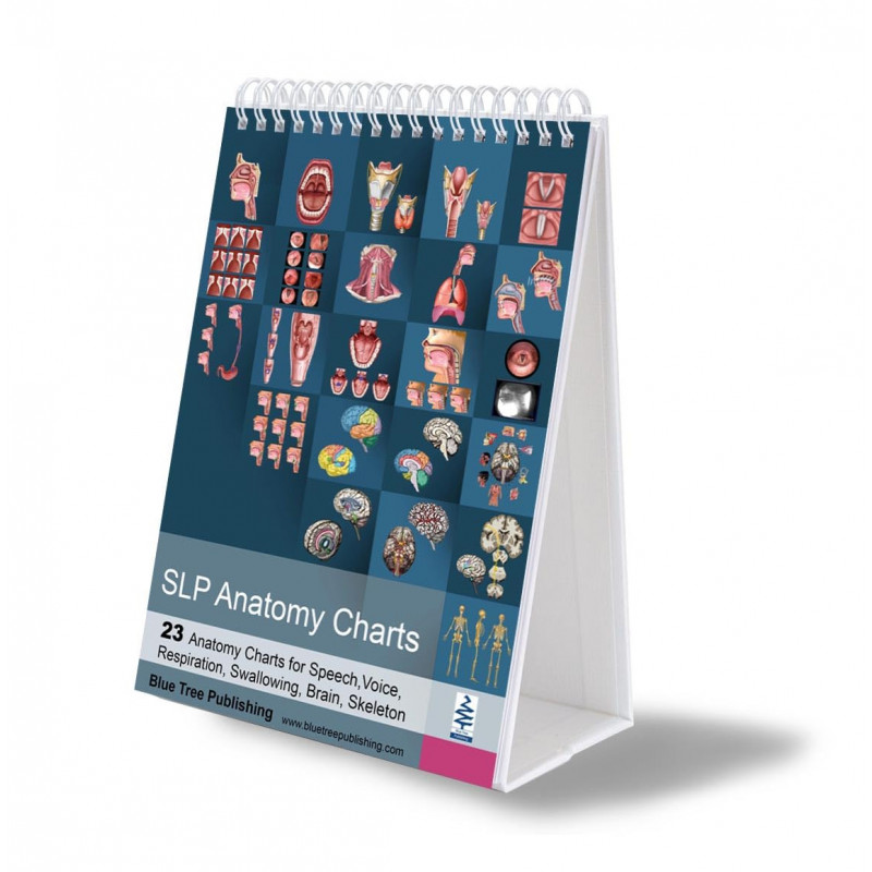 SLP Anatomy Flip Charts with QR Codes