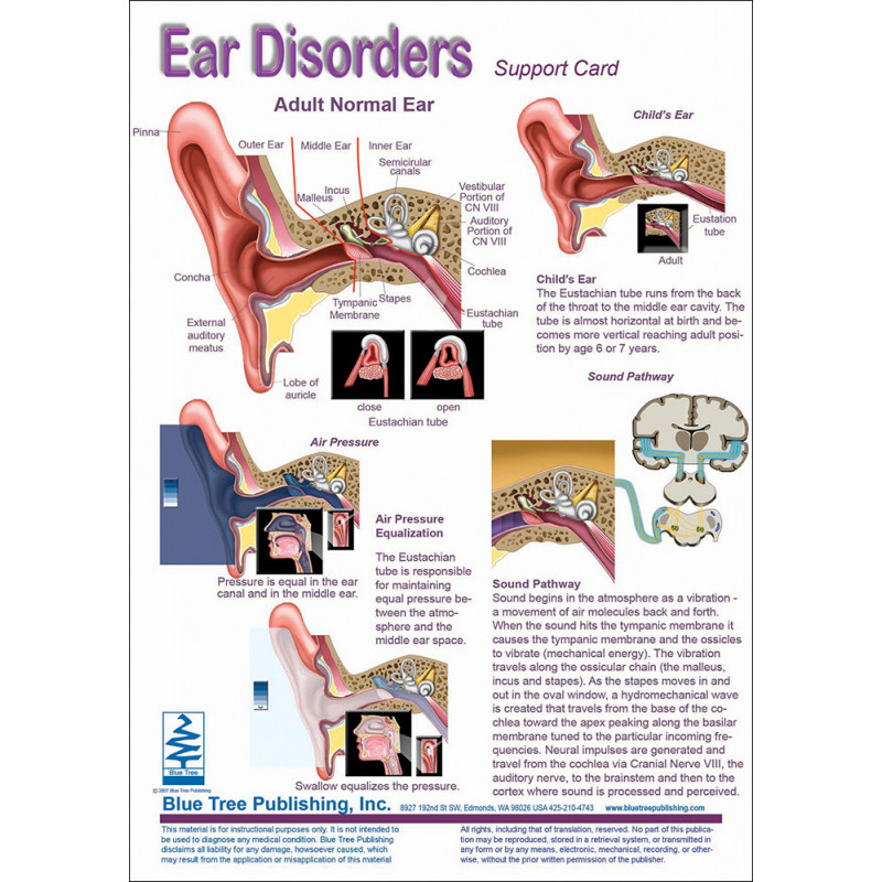 Ear Disorders Anatomical Chart Set