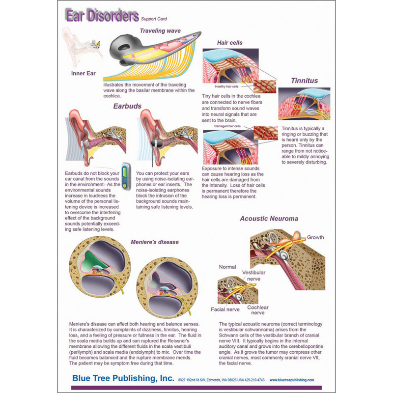 Ear Disorders Anatomical Chart Set
