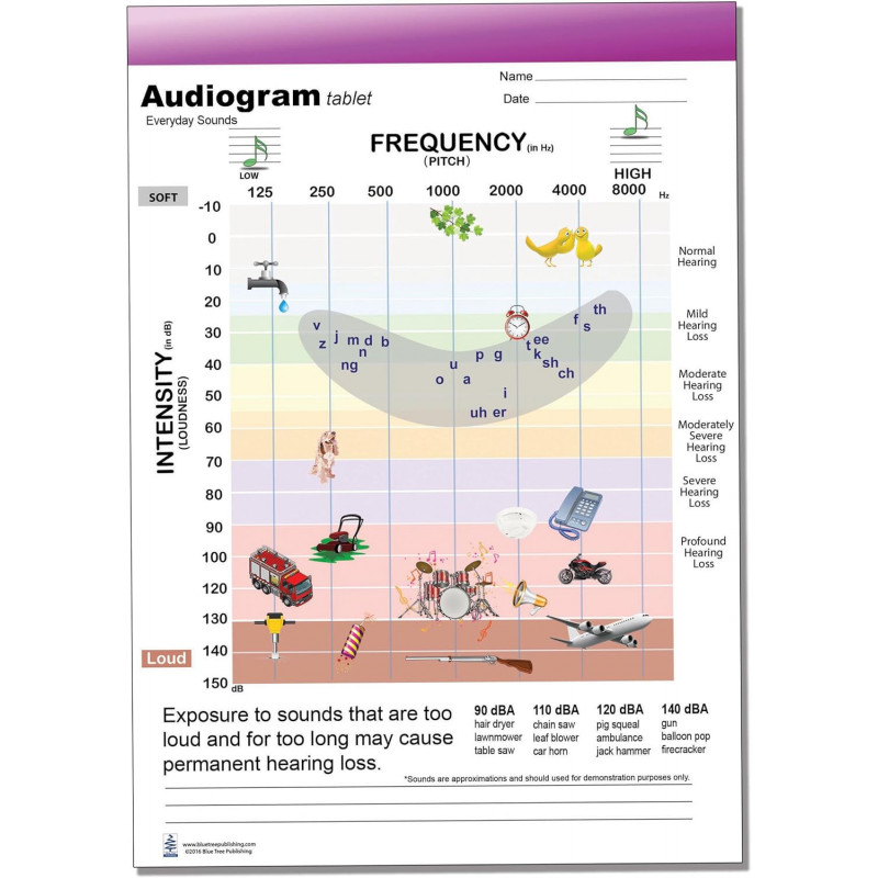Ear and Audiogram Writing Tablet for Patient Education 3 pk