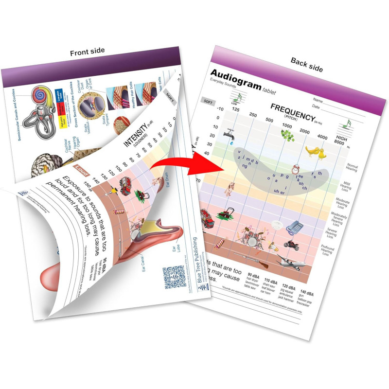 Ear and Audiogram Writing Tablet for Patient Education 3 pk
