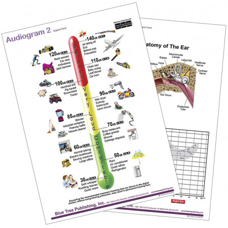 Audiogram 2 Anatomical Chart, Speech Banana, Frequency, Pitch and Ear ...