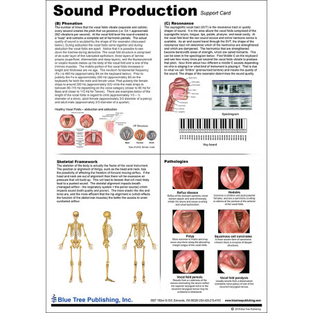Sound Production Anatomy Chart, vocal Folds, intrinsic Muscles ...