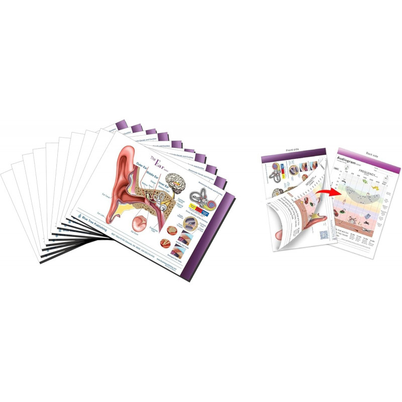 Ear and Audiogram Writing Tablet for Patient Education 10 pk