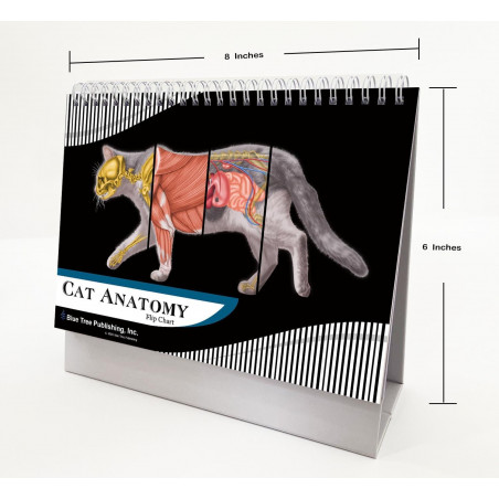 Dog and Cat Veterinary Anatomy Flip Charts, Anatomy & Veterinary ...