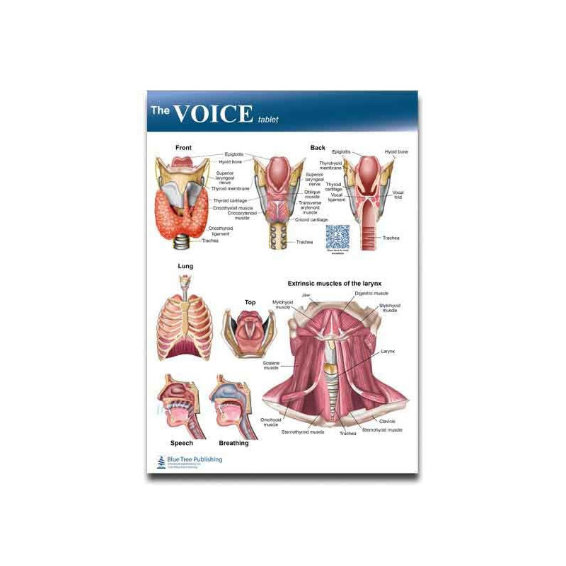 Voice and Larynx Tear Off Pads 3 Pack
