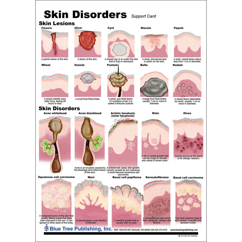 Skin Disorders Chart
