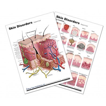 Skin Disorders Chart