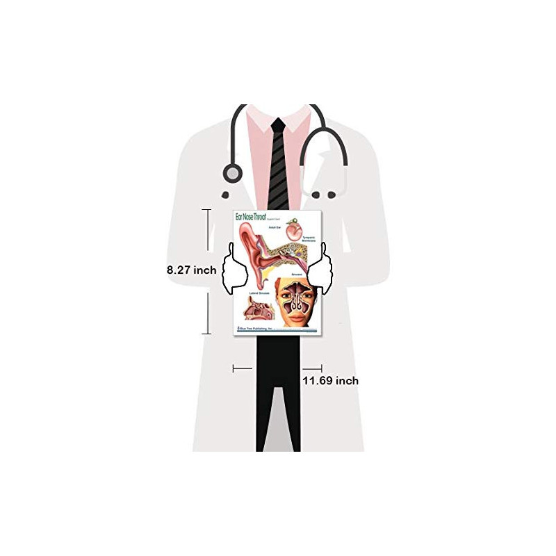 Ear Nose Throat Chart