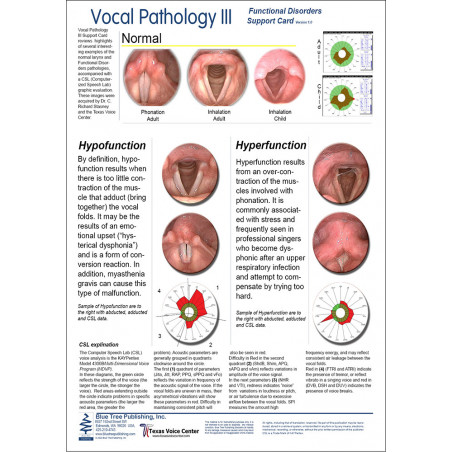 Vocal Pathology 3 Chart, Functional Disorders