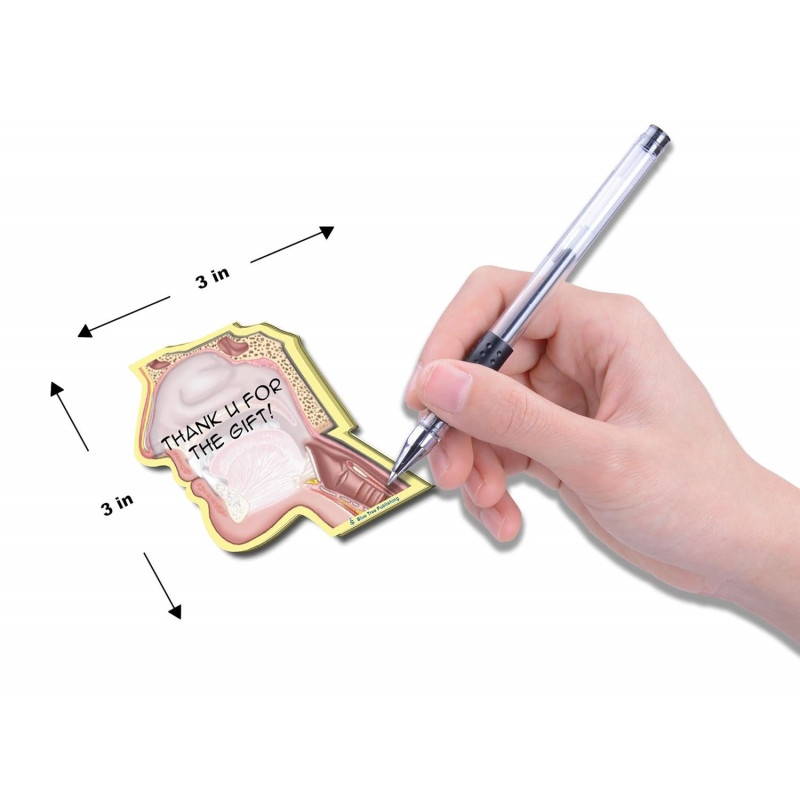 Head Cutaway Sticky Notes 10 Pack