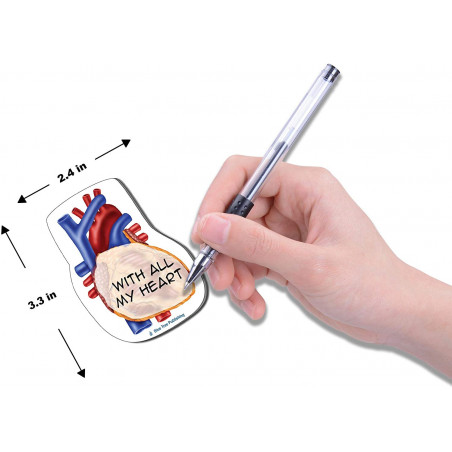 Heart Sticky Notes, Human Heart 4 Pack-100 Sheets Per Pack Physician ...