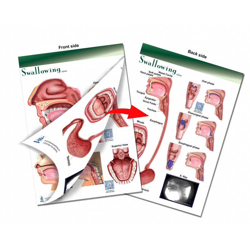 Swallowing Tablet-10 Tablet
