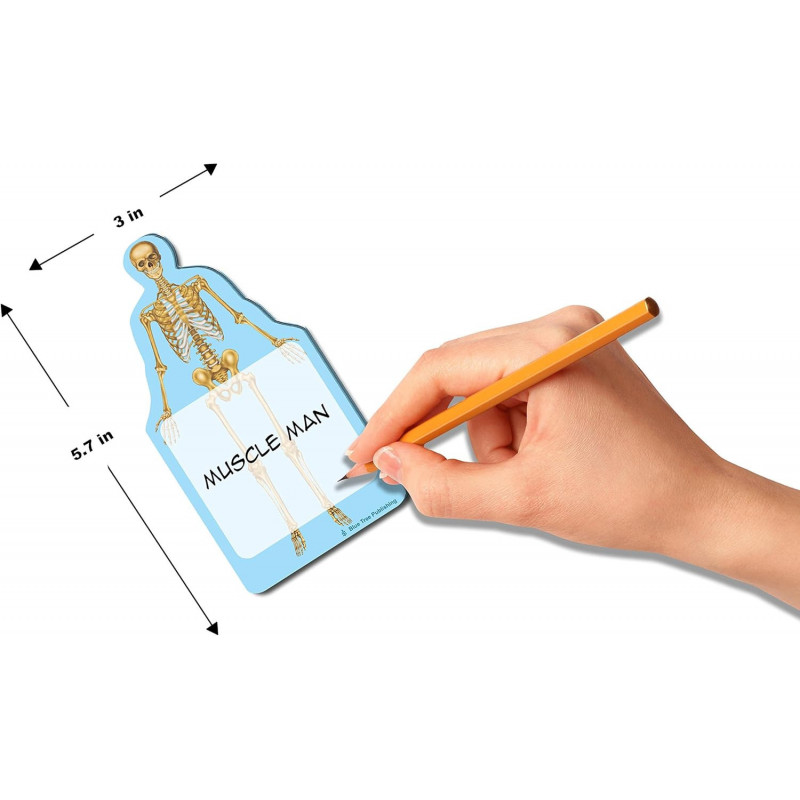 Skeleton Sticky Notes 20 Pack