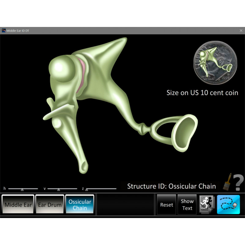 ENT 8 App Desktop Software
