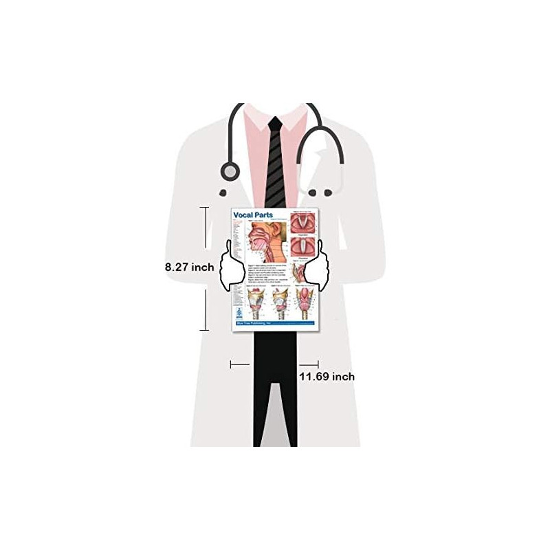 Vocal Parts Anatomical Chart