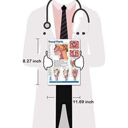 Vocal Parts Anatomical Chart