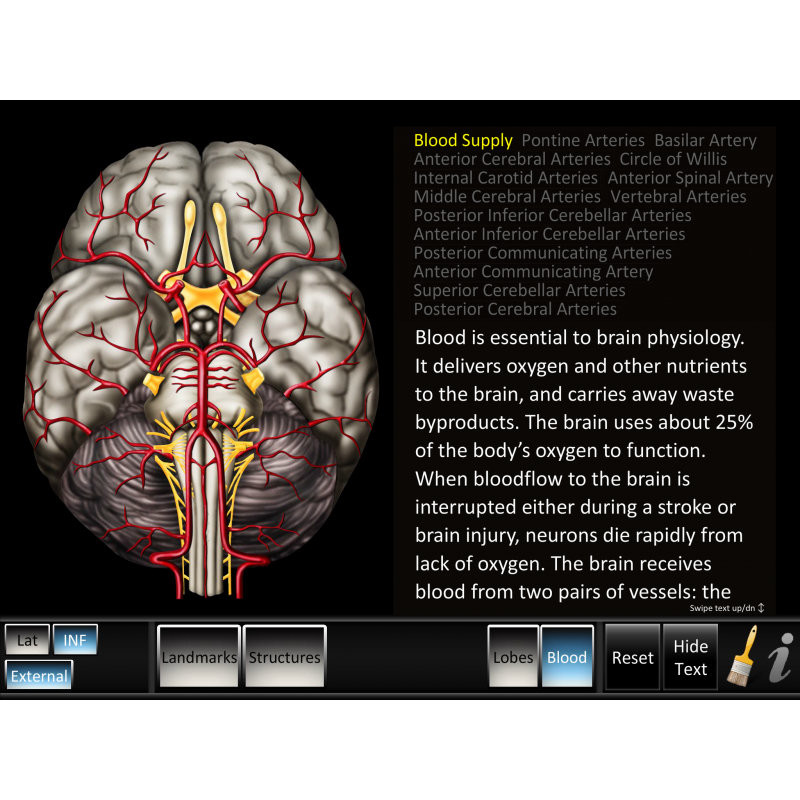 Cerebrum ID App
