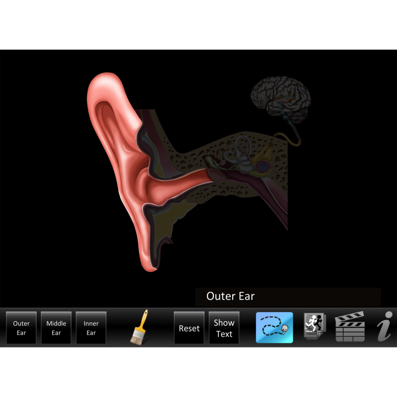 Ear ID App