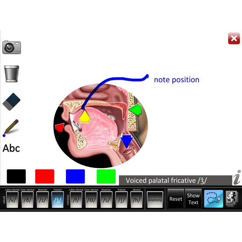 Speech Articulation Fricatives App