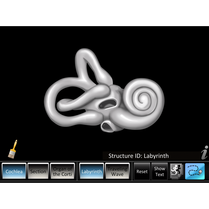 Inner Ear ID App