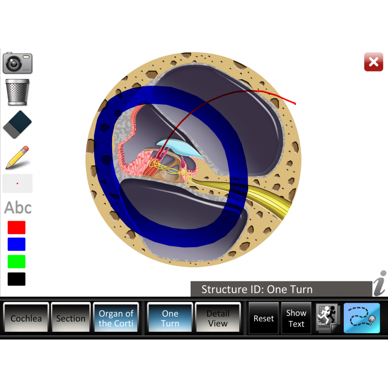 Inner Ear ID App