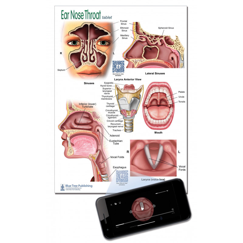 Ear Nose Throat ENT Tablet-1 Tablet