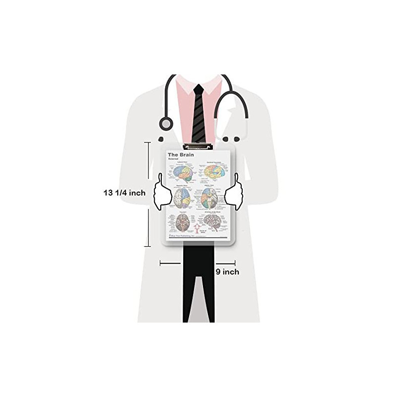 Brain CN Pathways External Internal 2 Clipboard Set