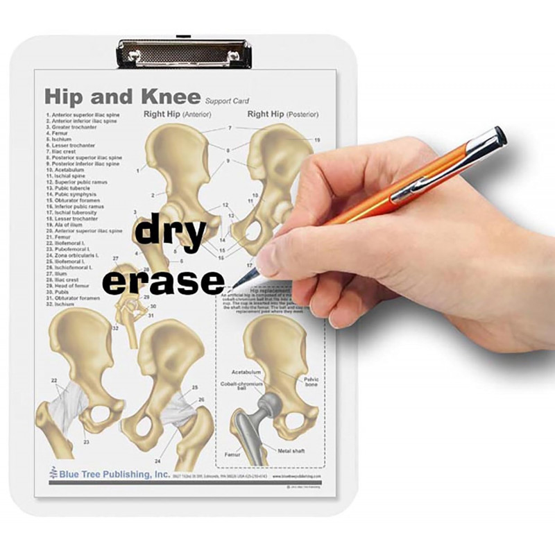Hip and Knee Clipboard