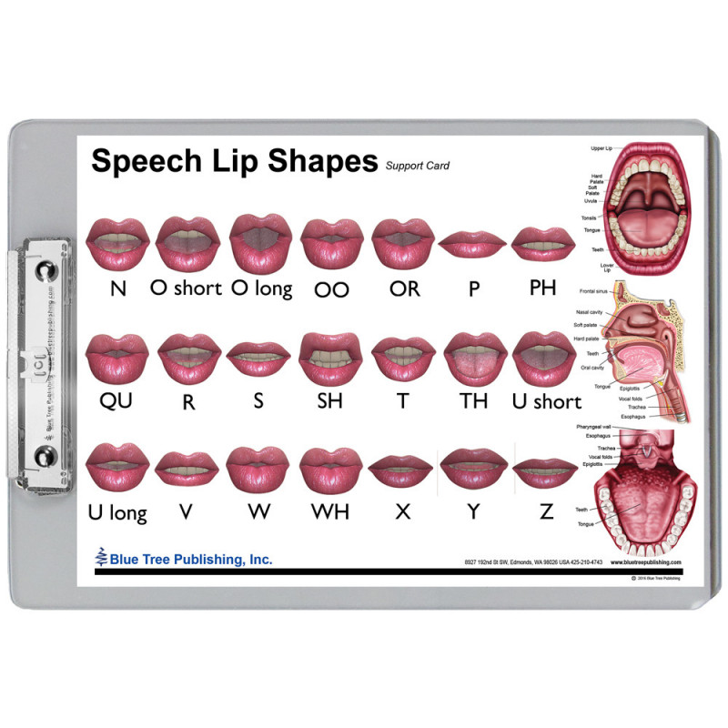 Speech Lip Shapes Clipboard