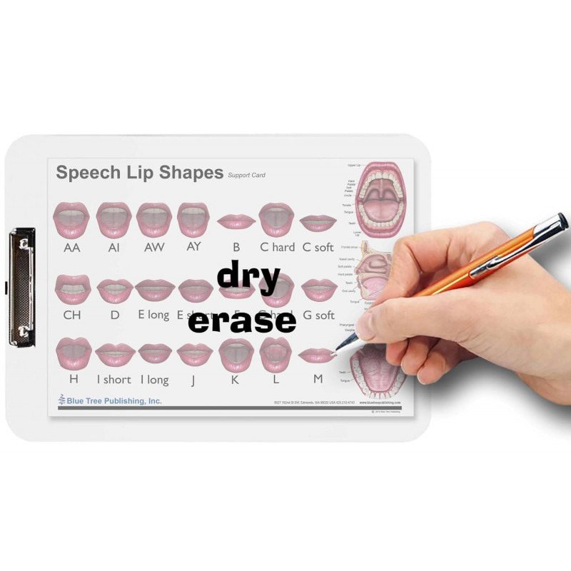 Speech Lip Shapes Clipboard
