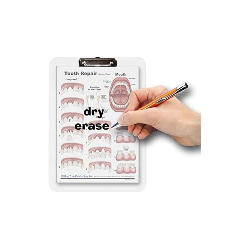 Tooth Repair Clipboard