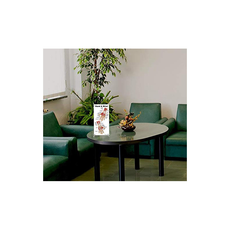 Hand and Wrist Small Poster