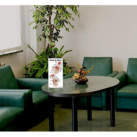Hand and Wrist Small Poster