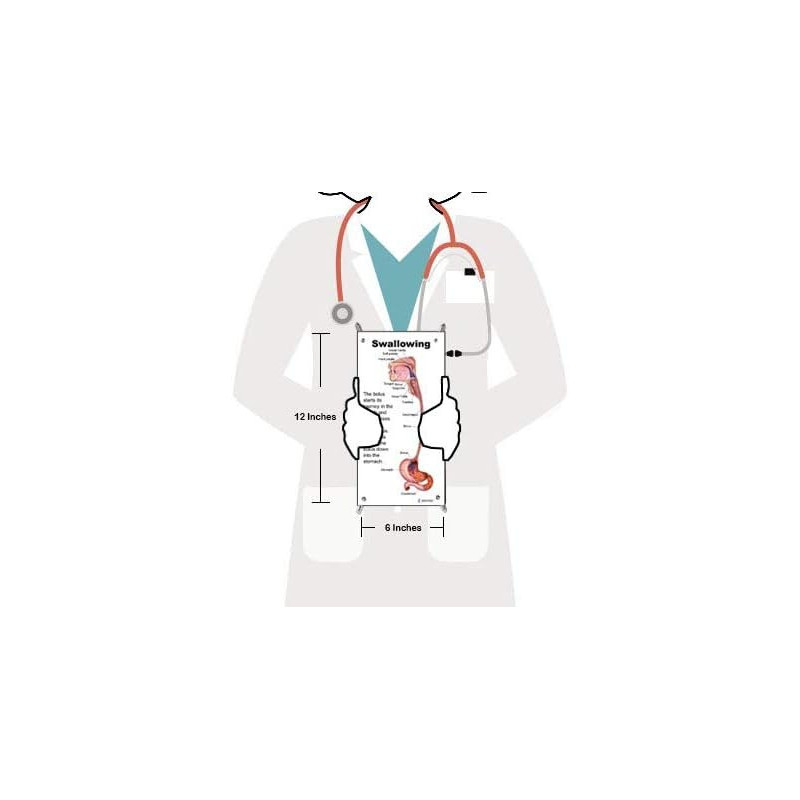 Swallowing Small Poster