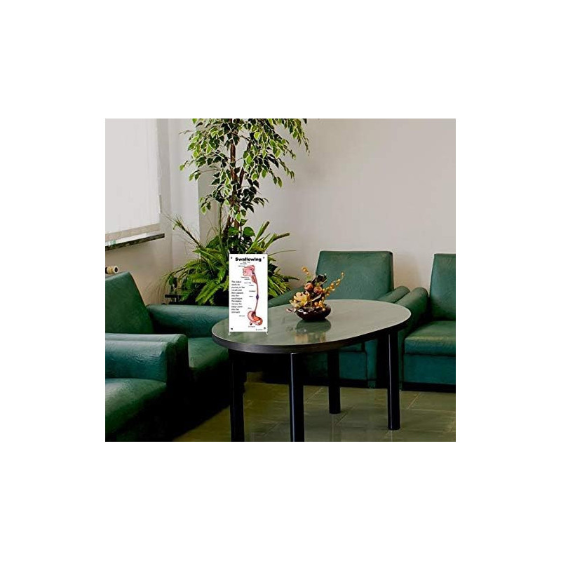 Swallowing Small Poster