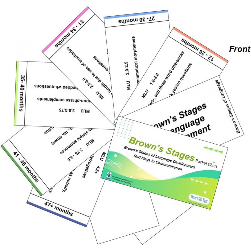 Speech Pocket Chart Set, include Acquisition, Milestone, Phonological ...