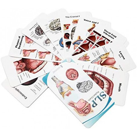 SLP, Swallowing, Speech Articulation, Brain Anatomy Anatomical Pocket ...