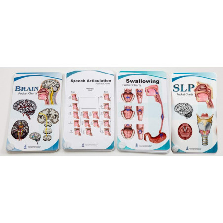SLP, Swallowing, Speech Articulation, Brain Anatomy Anatomical Pocket ...