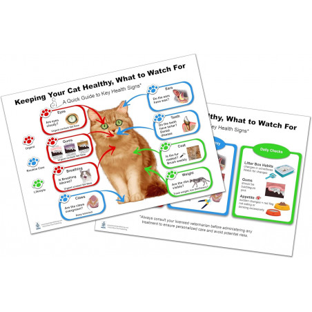 Keeping Your Cat Healthy Anatomical Chart