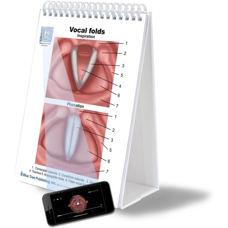 Ear Nose Throat ENT anatomy Flip Charts