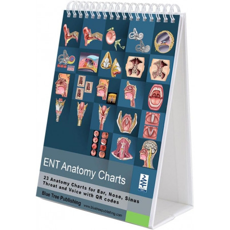 Ear Nose Throat ENT anatomy Flip Charts