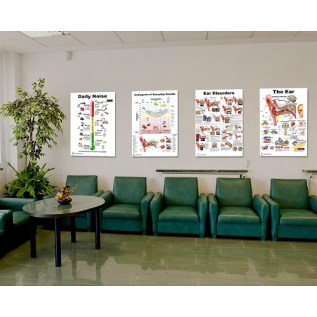 Ear, Ear Disorders, Audiogram, Daily Noise, 4 Poster Set 24 inch x 36 ...