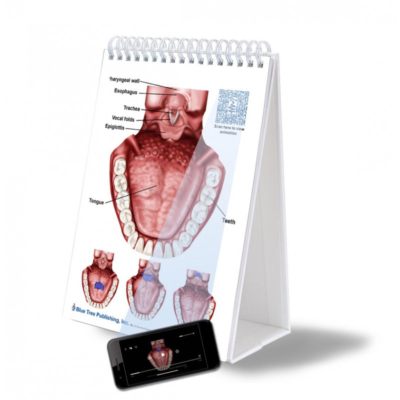 SLP Anatomy Flip Charts with QR Codes