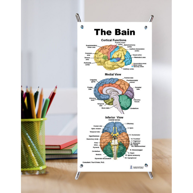 SLP Small Poster 3 Set