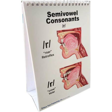 Speech articulation anatomy Flip Charts